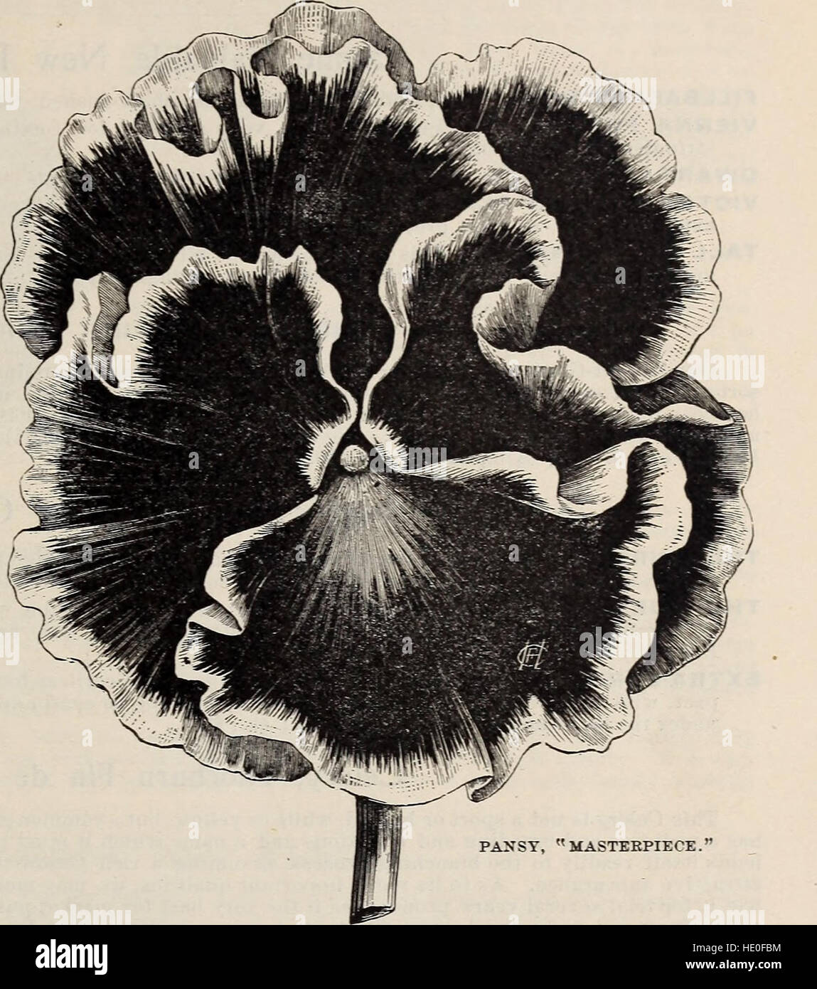 Thorburns hi-res stock photography and images - Alamy