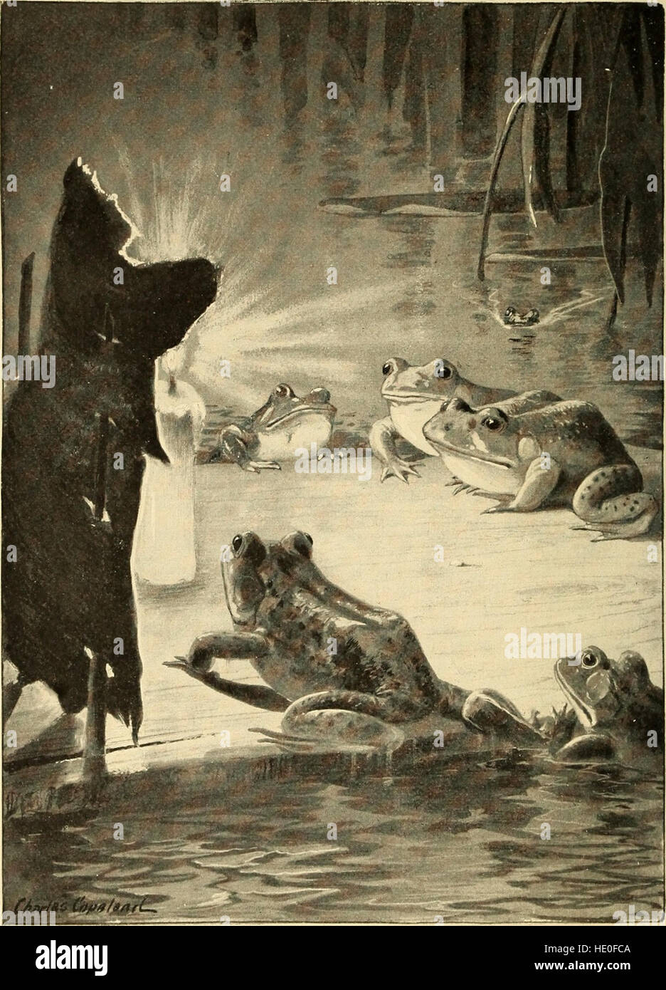 'Wilderness Ways' (1900) explores the natural environment, wildlife ...