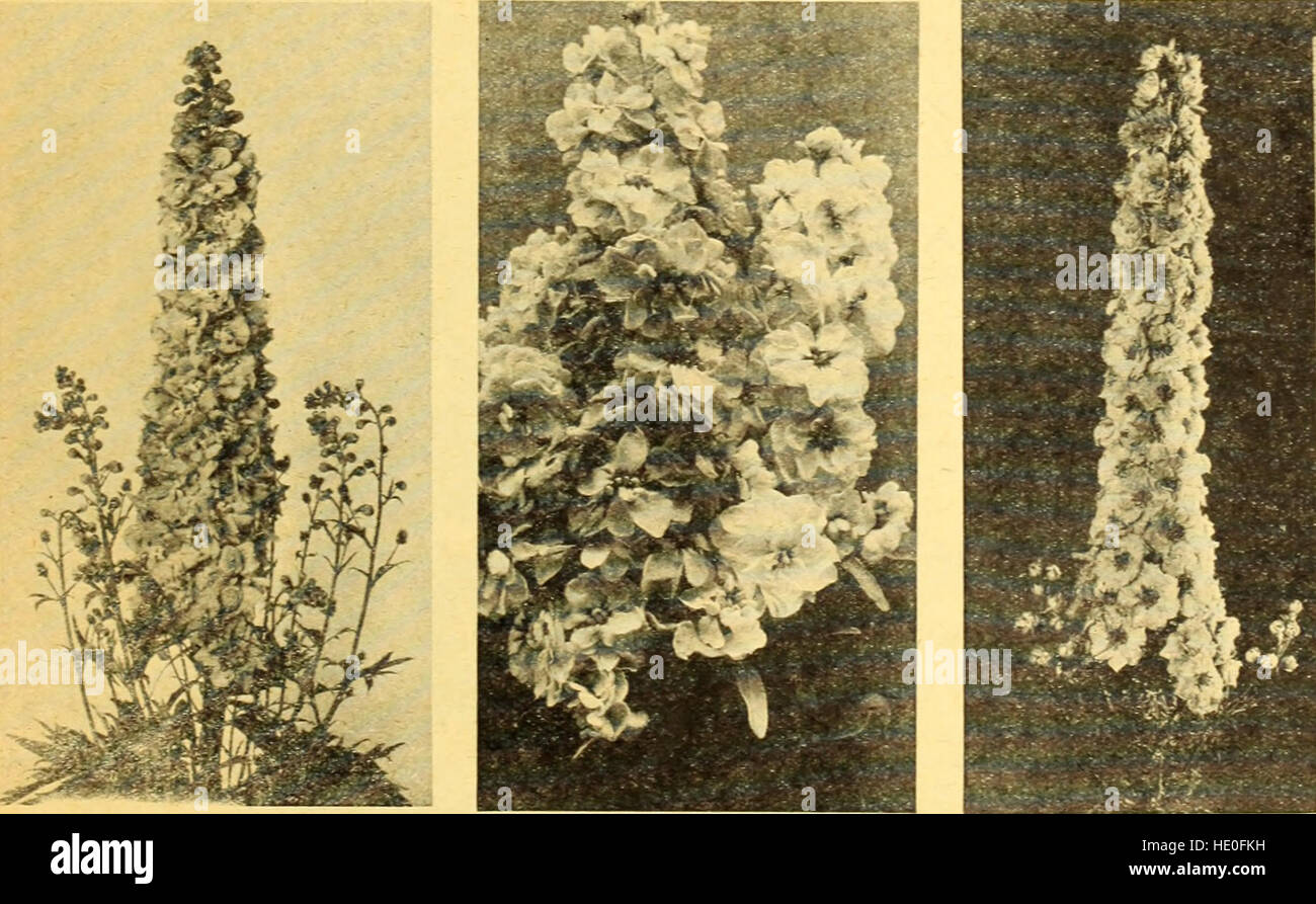 A 1934 guide to gardening in California, focusing on the unique climate ...