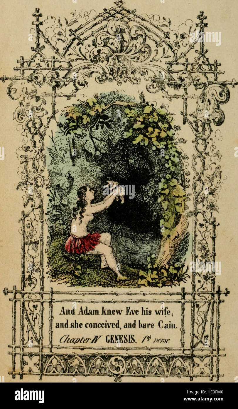 The Matron's Manual of Midwifery is a medical guide aimed at providing ...