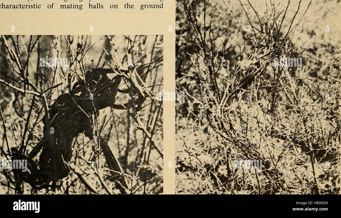 *The Canadian Field-Naturalist* (1975) is a scientific journal focusing ...