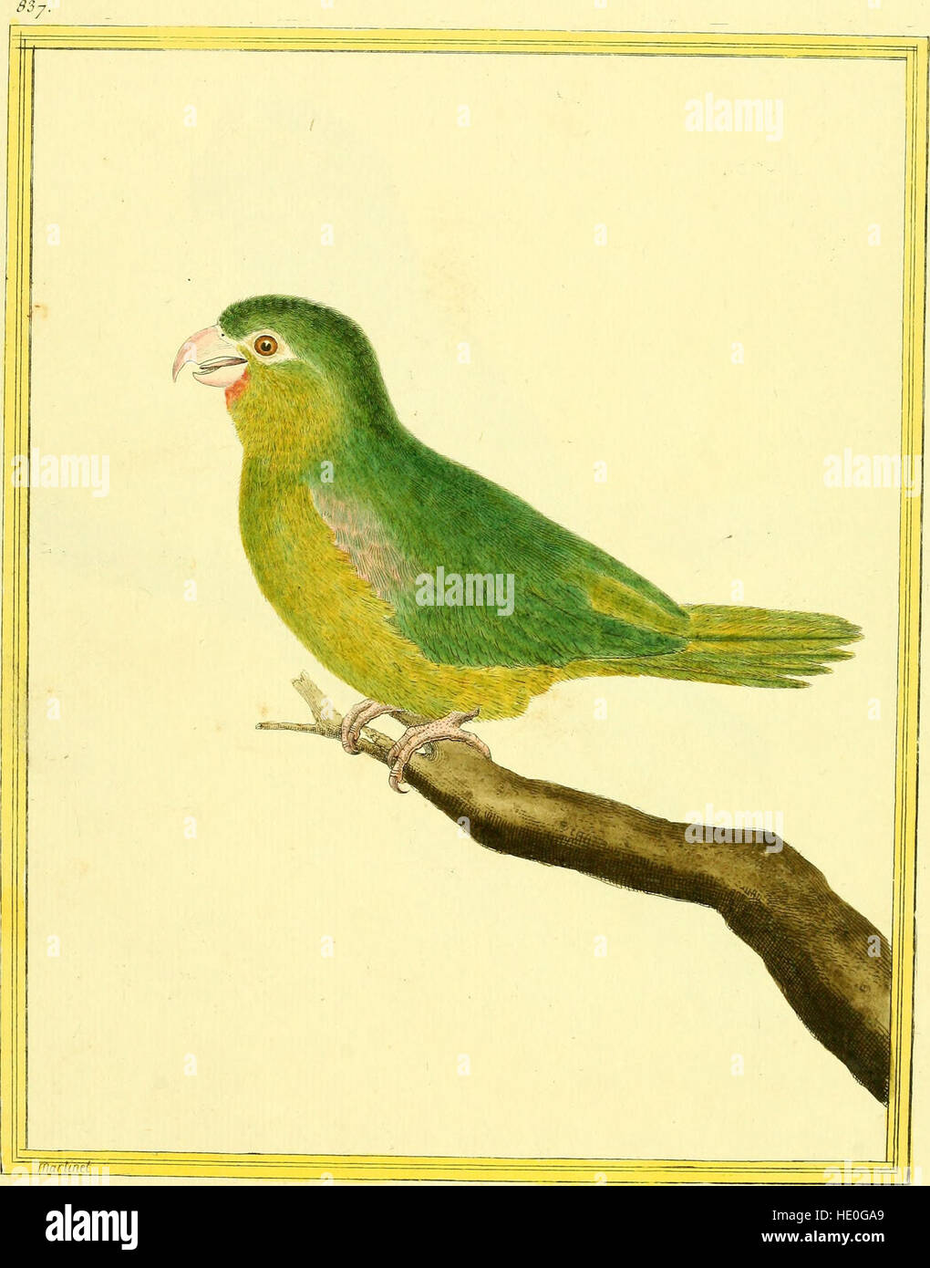 A French work from 1765, this book features illuminated plates ...