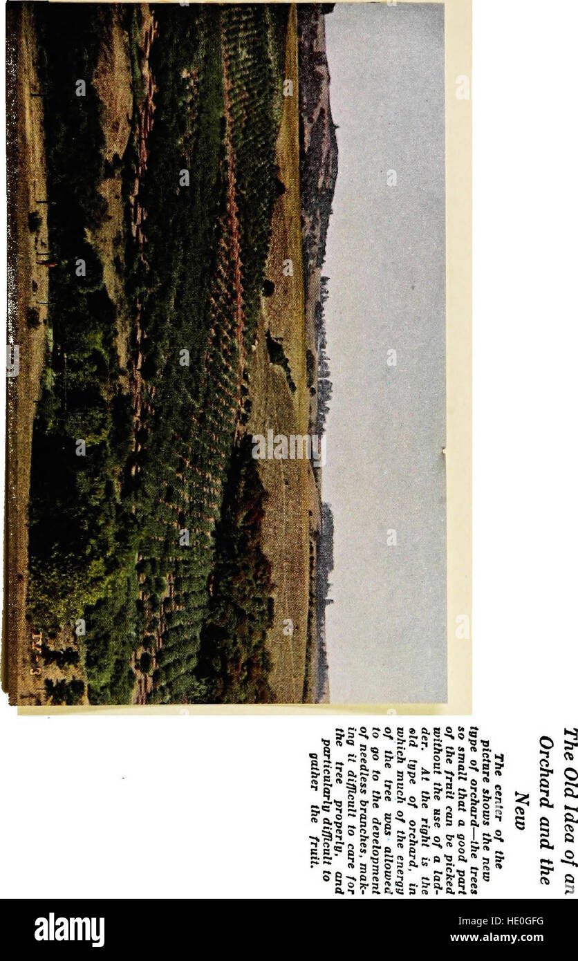 This 1914 work details the agricultural innovations of Luther Burbank ...