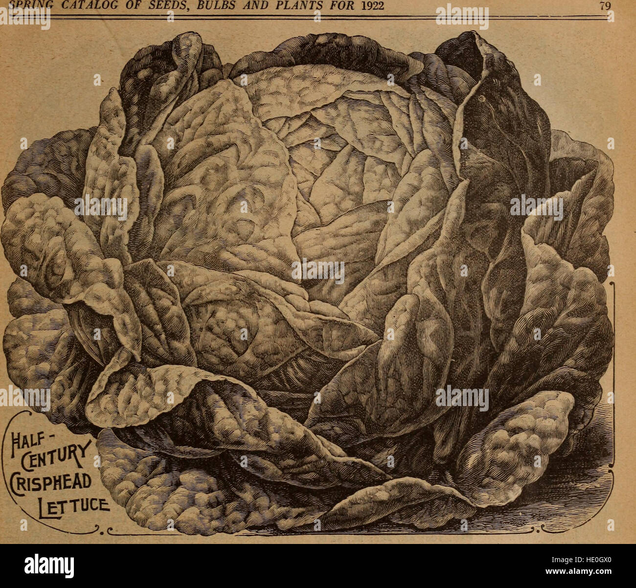 This 1922 gardening catalog by Childs’ Spring presents a variety of ...