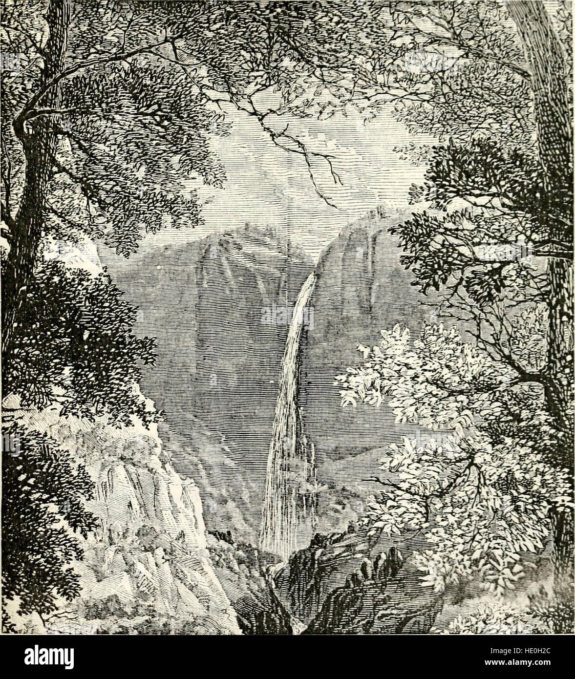 This 1889 work offers a comprehensive review of U.S. presidents ...