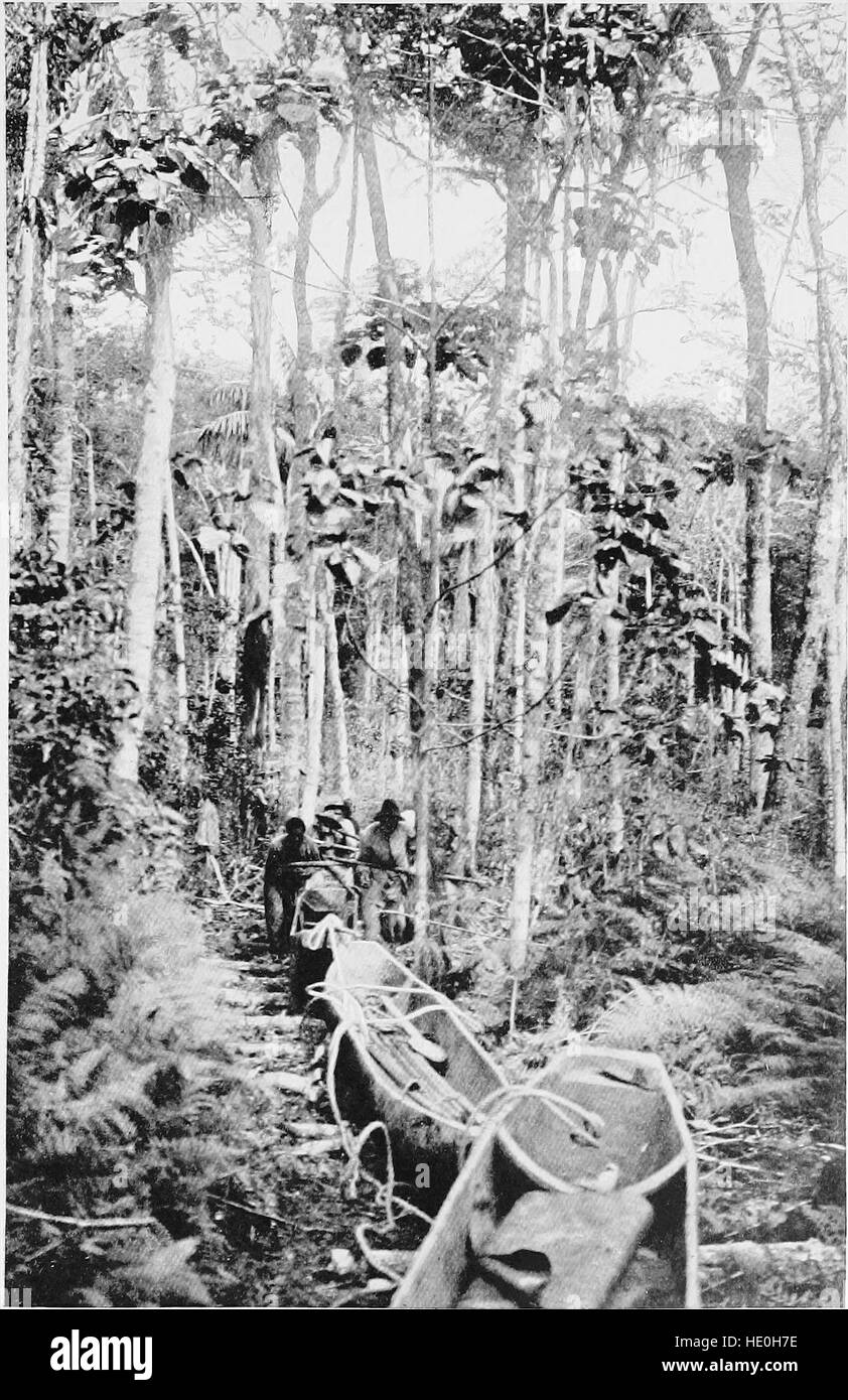 This work narrates a journey through the Brazilian wilderness ...