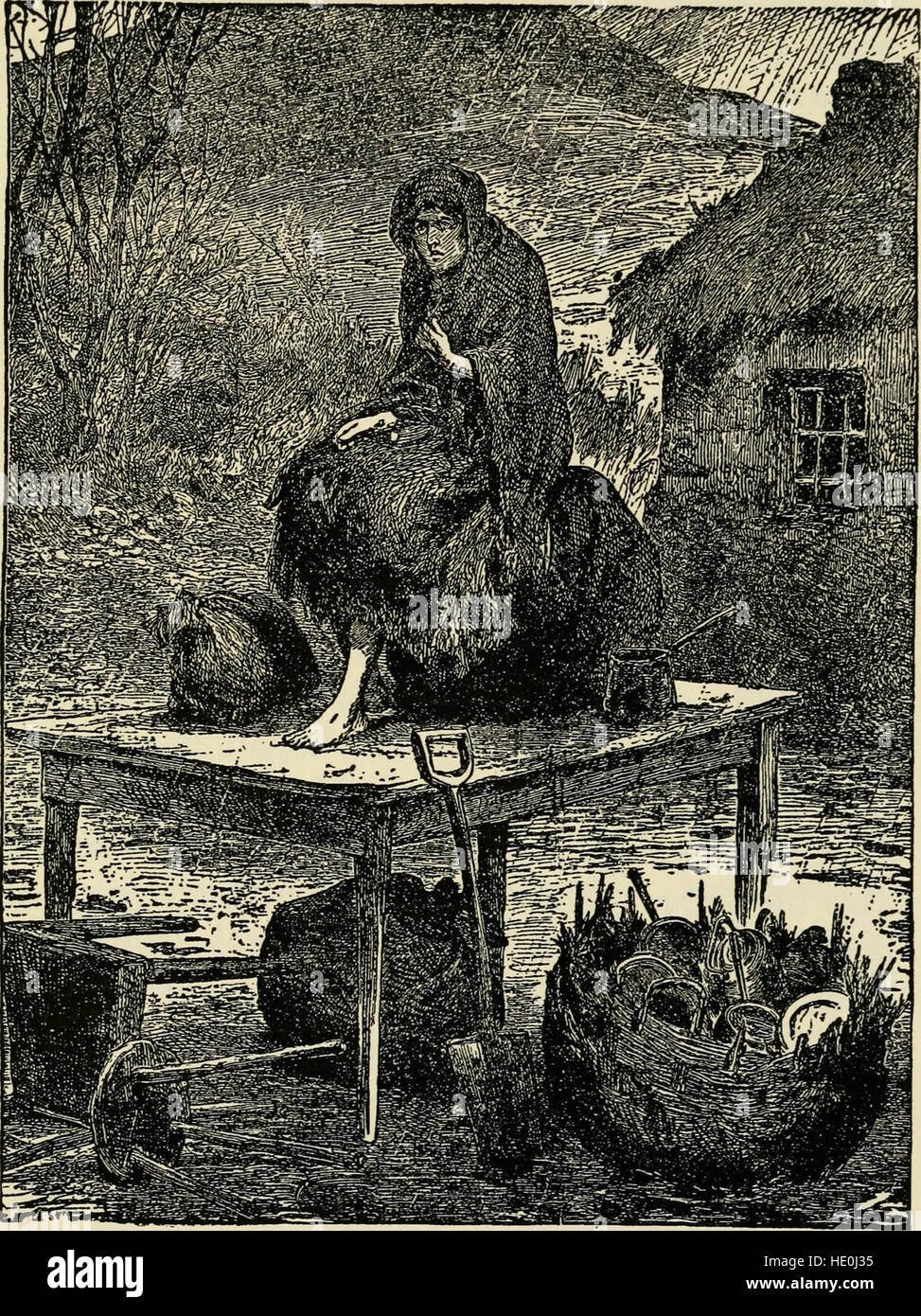 Charles stewart parnell family hi-res stock photography and images - Alamy