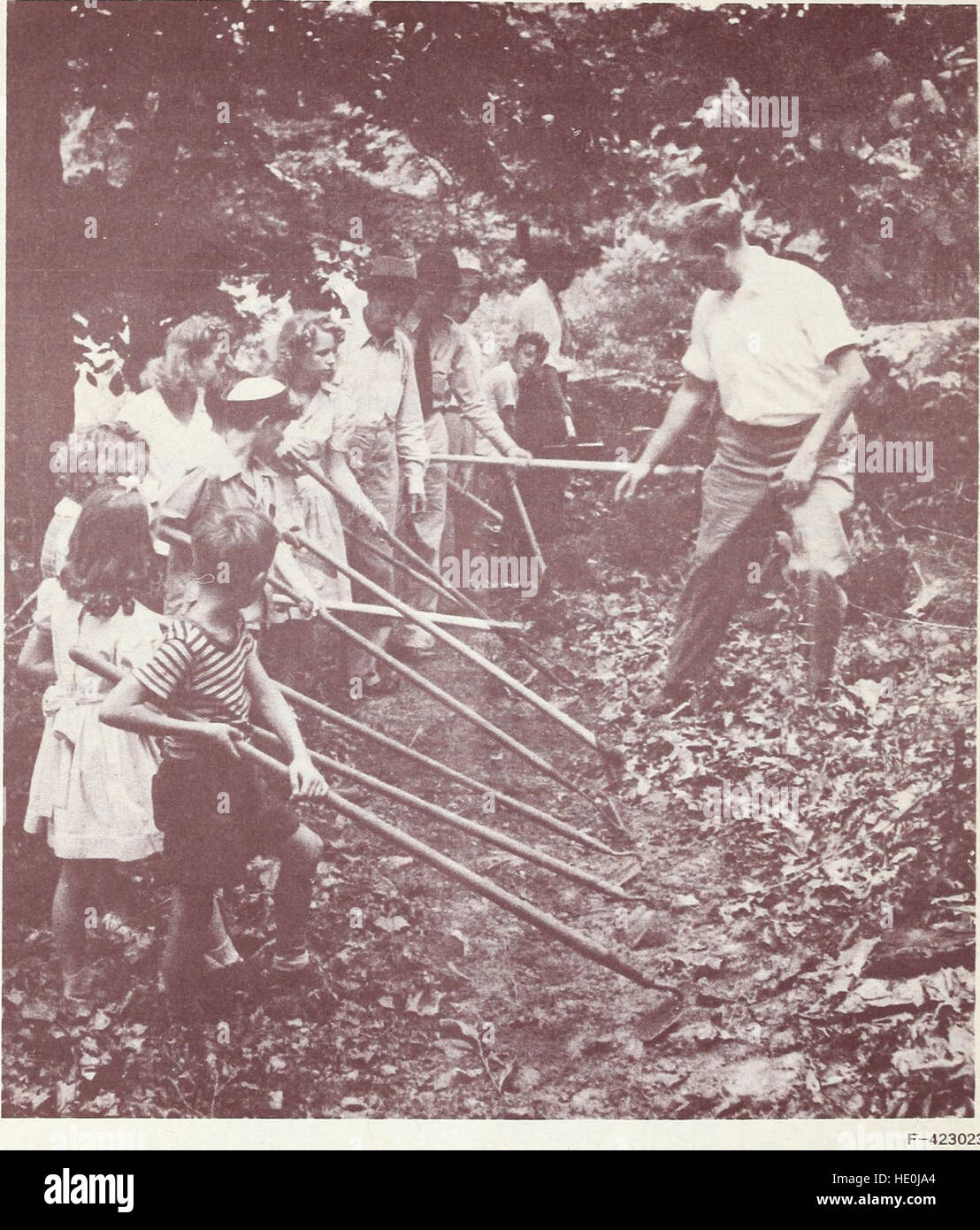 Different career field hi-res stock photography and images - Alamy