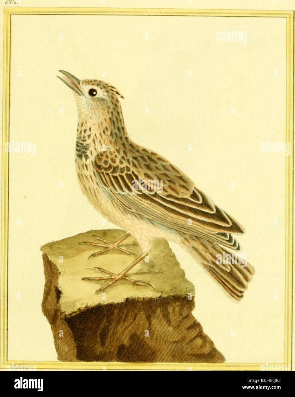 A 1765 French work featuring illuminated plates illustrating various ...