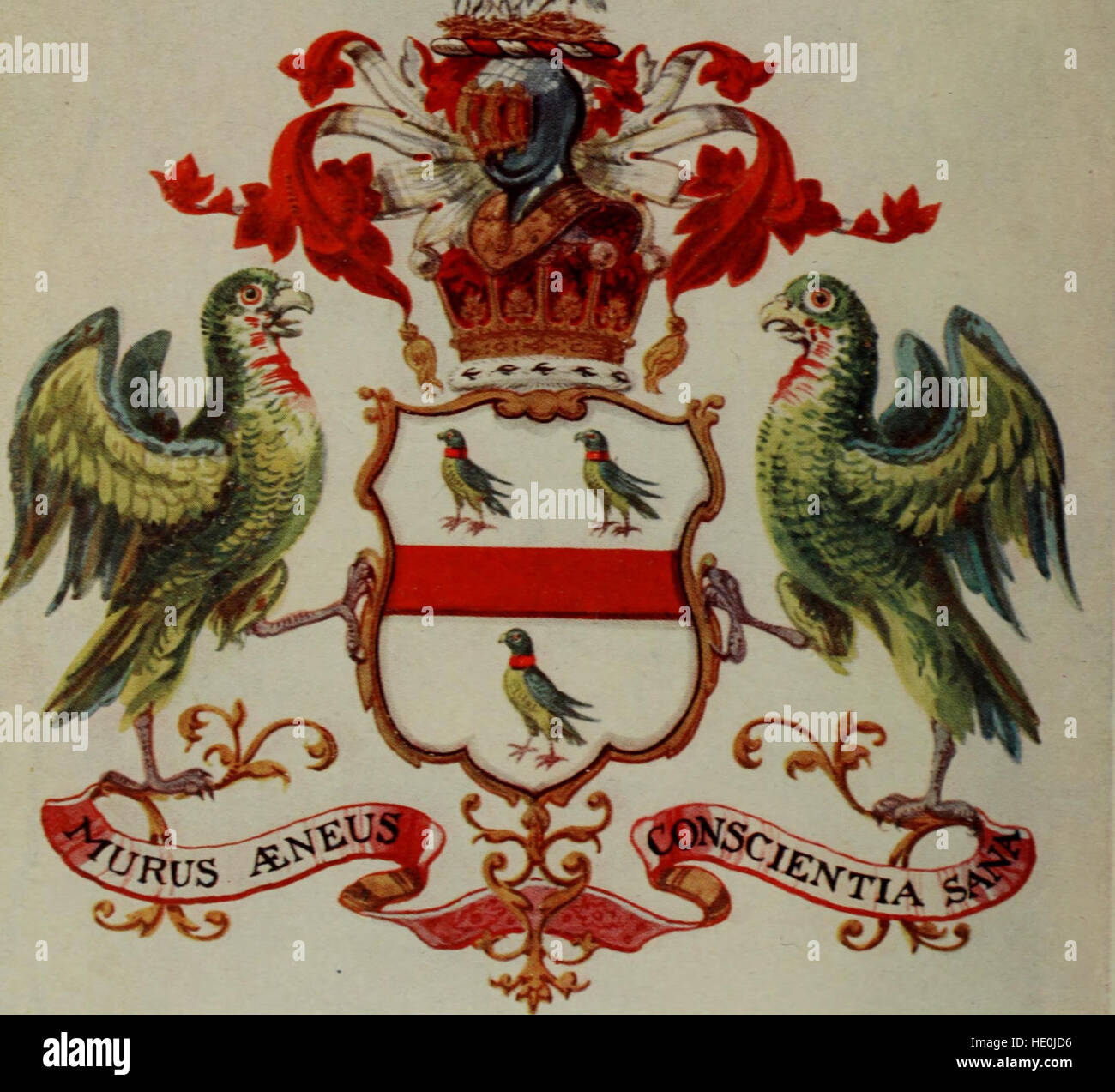 A historical exploration of heraldry, examining the origins and ...