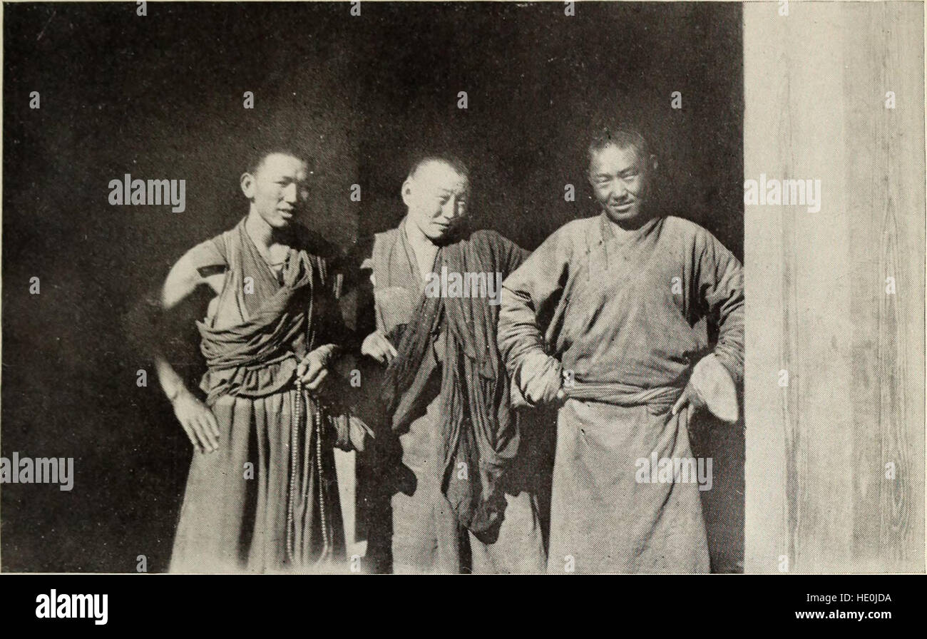 Dzungaria hi-res stock photography and images - Alamy