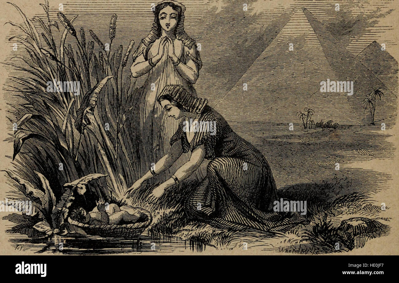 This 1861 publication examines the lives and roles of women in the ...