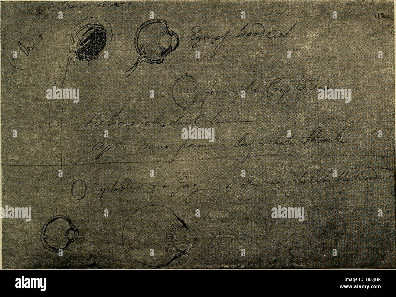 The 1935 edition of *The Canadian Field-Naturalist* continues its focus ...