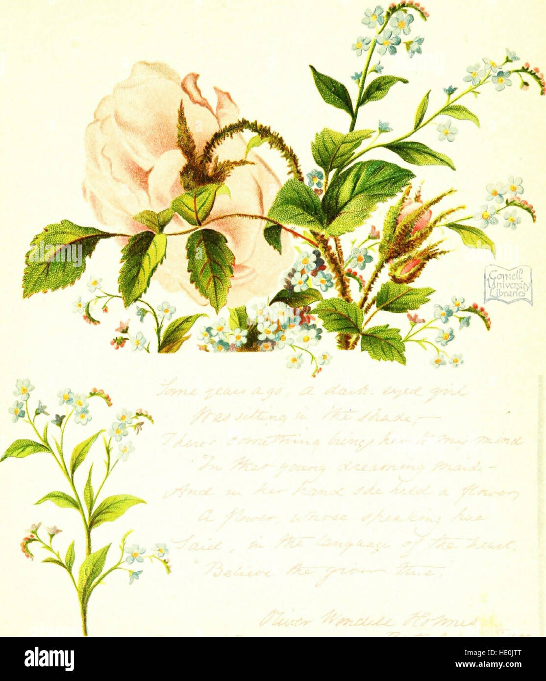 'Flowers from Sunlight and Shade' (1888) presents a collection of poems ...