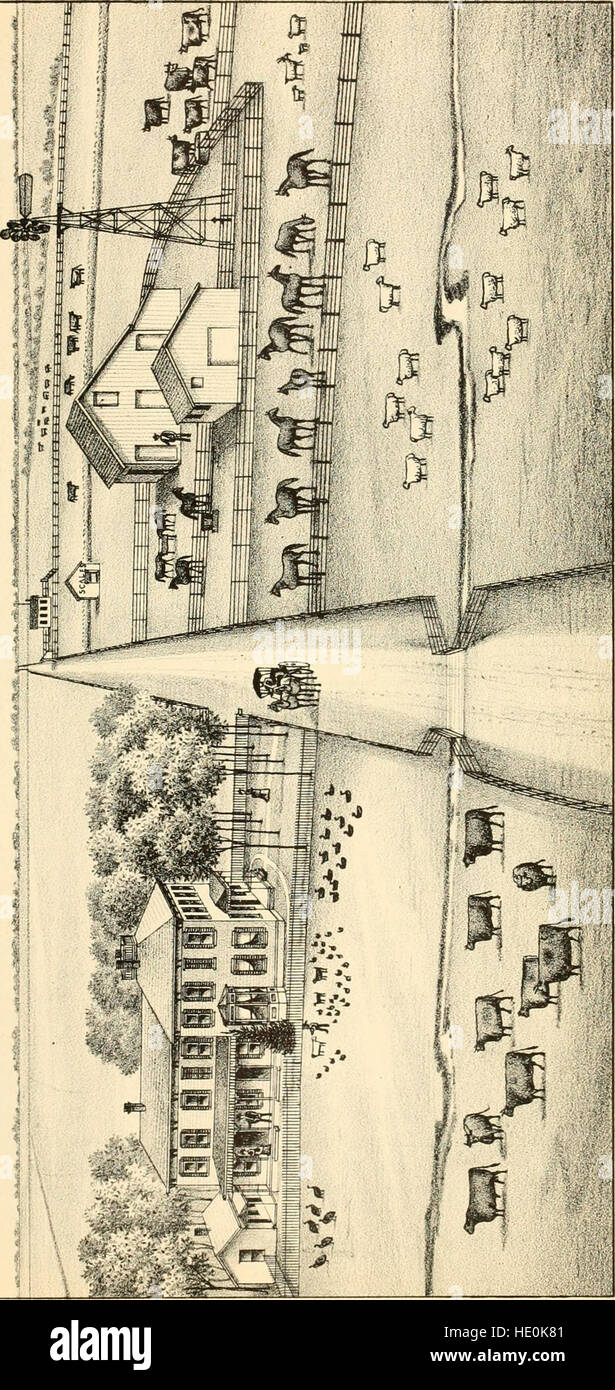 This 1891 album features portraits and biographies of prominent ...