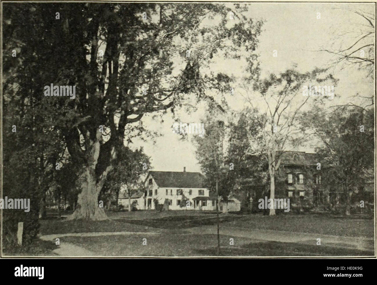 This history of Hatfield, Massachusetts, explores the town's social and ...