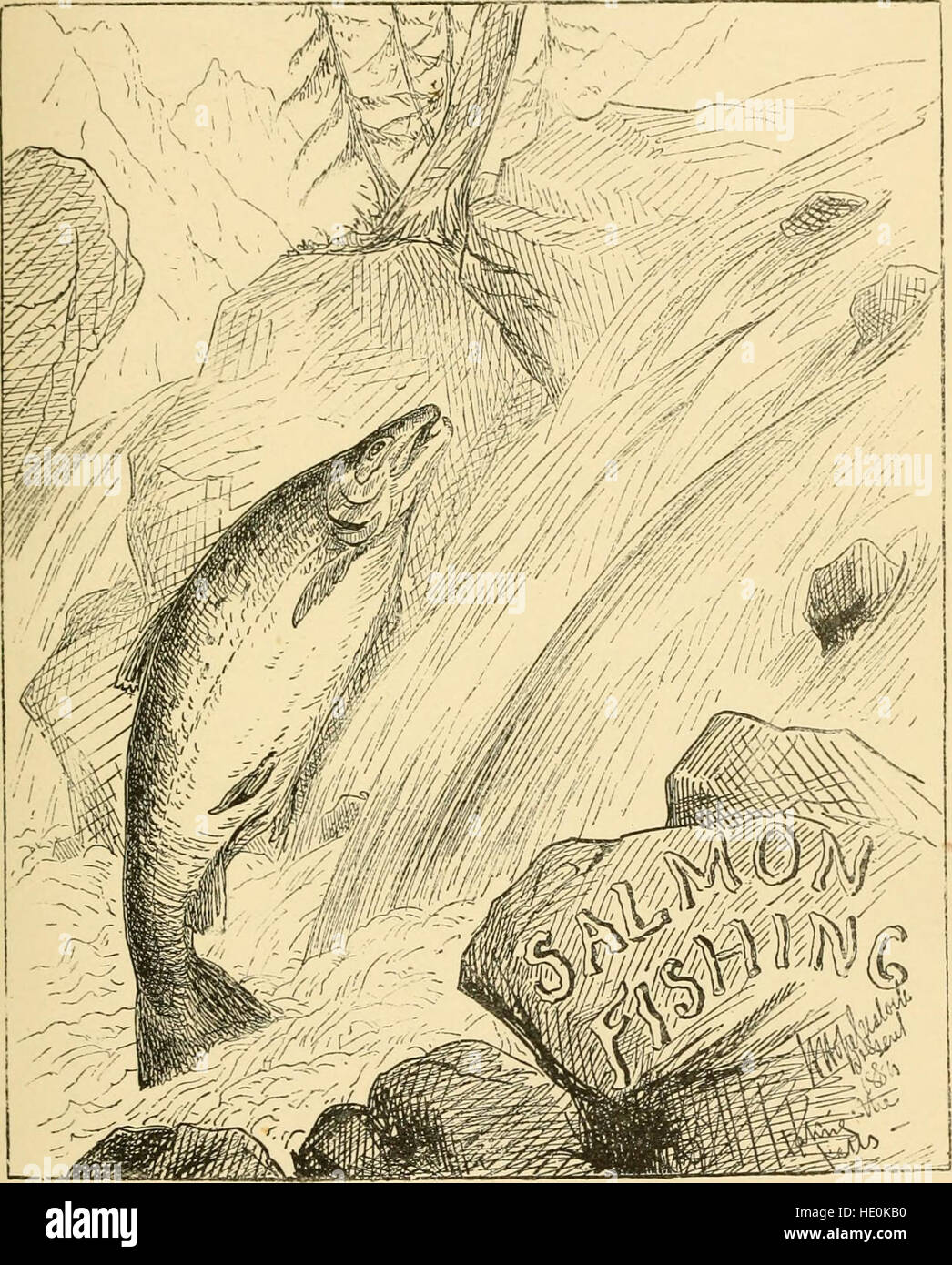 This 1888 work explores the various forms of sport, covering both ...