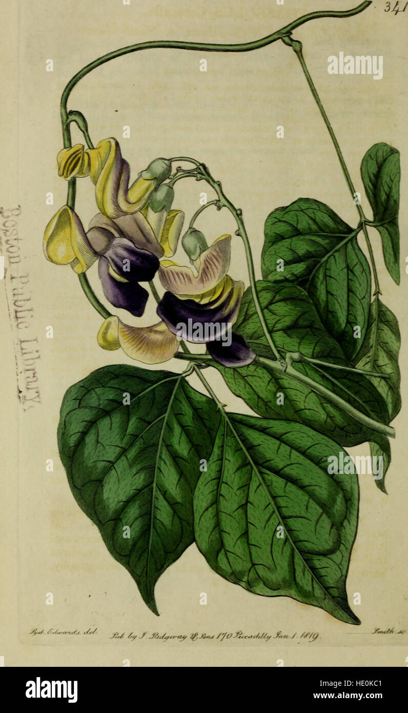 This botanical reference work, first published in 1815, features color ...