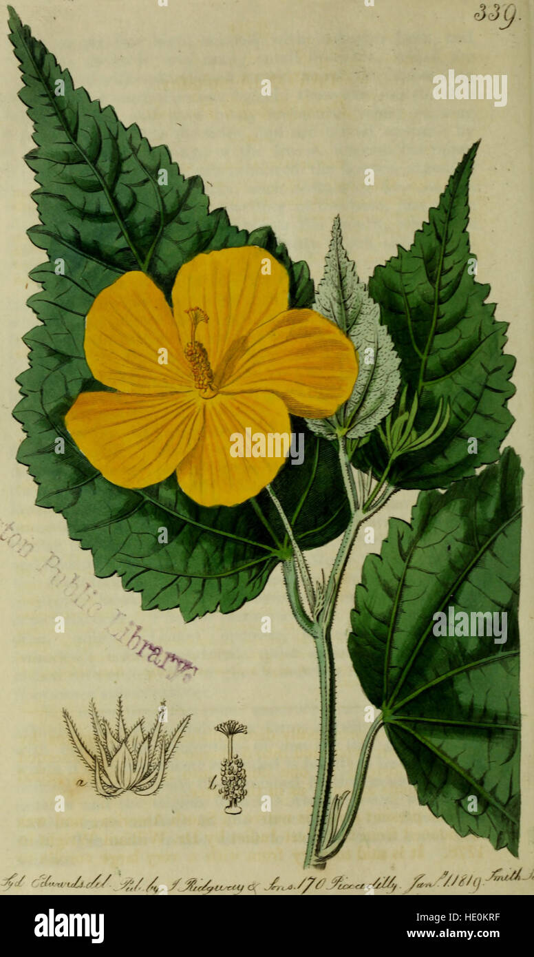 *The Botanical Register* (1815) is a botanical work featuring colored ...