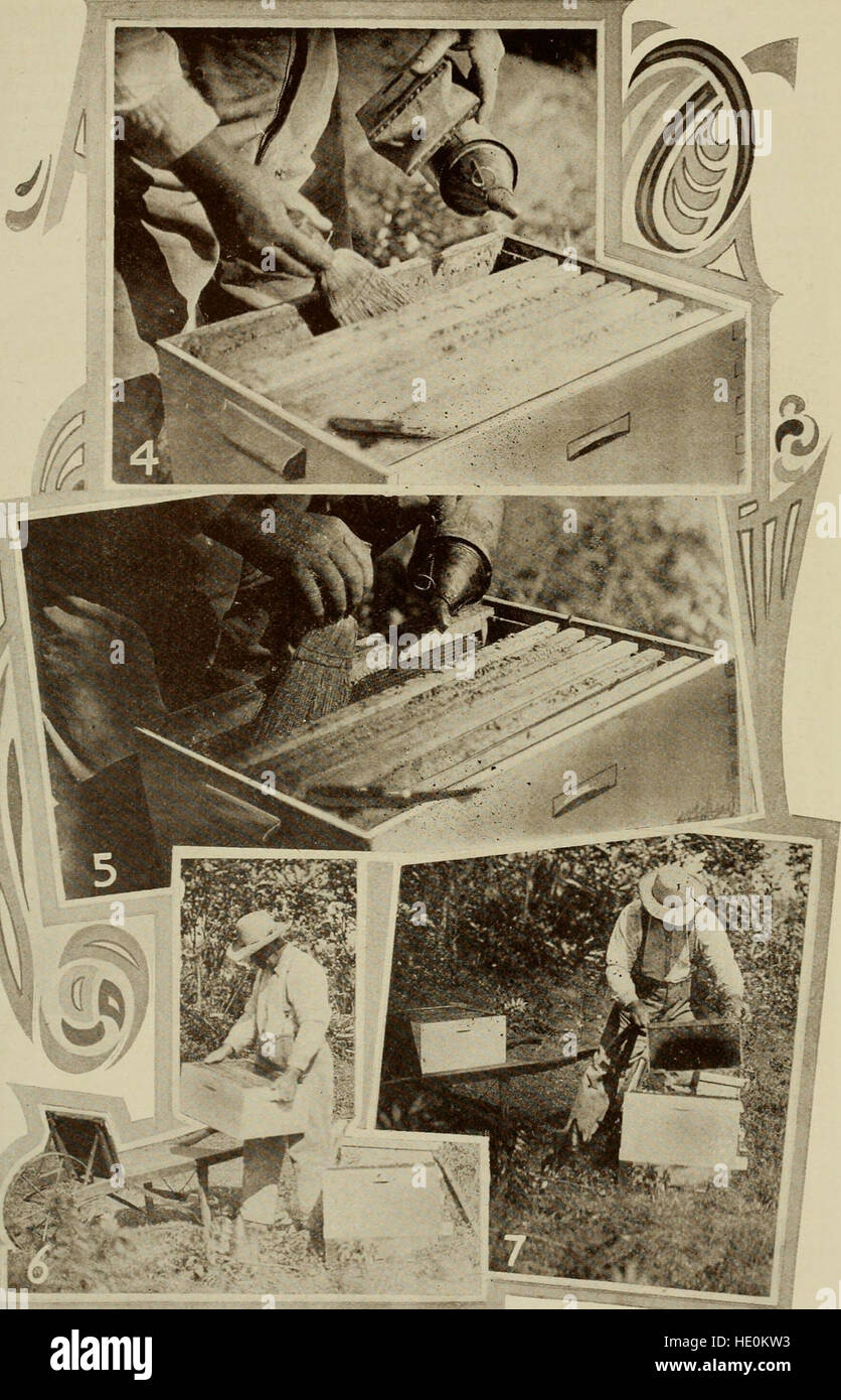 This 1911 work explores the science of beekeeping, offering insights ...