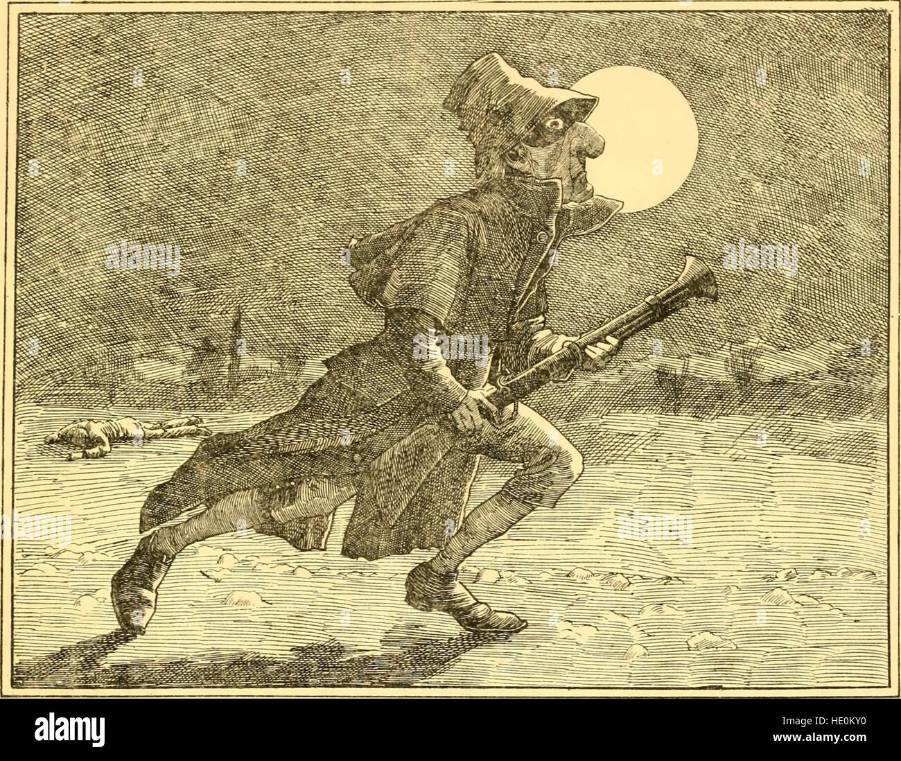 This 1888 work, known as The Irish Green Book, documents the Irish ...
