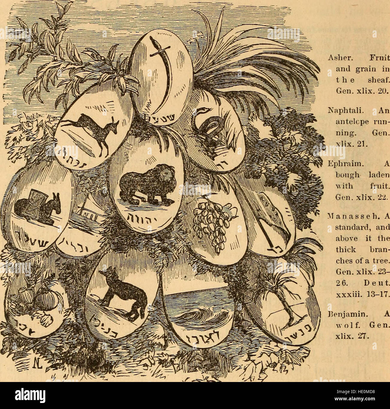 Pictorial bibles hi-res stock photography and images - Alamy