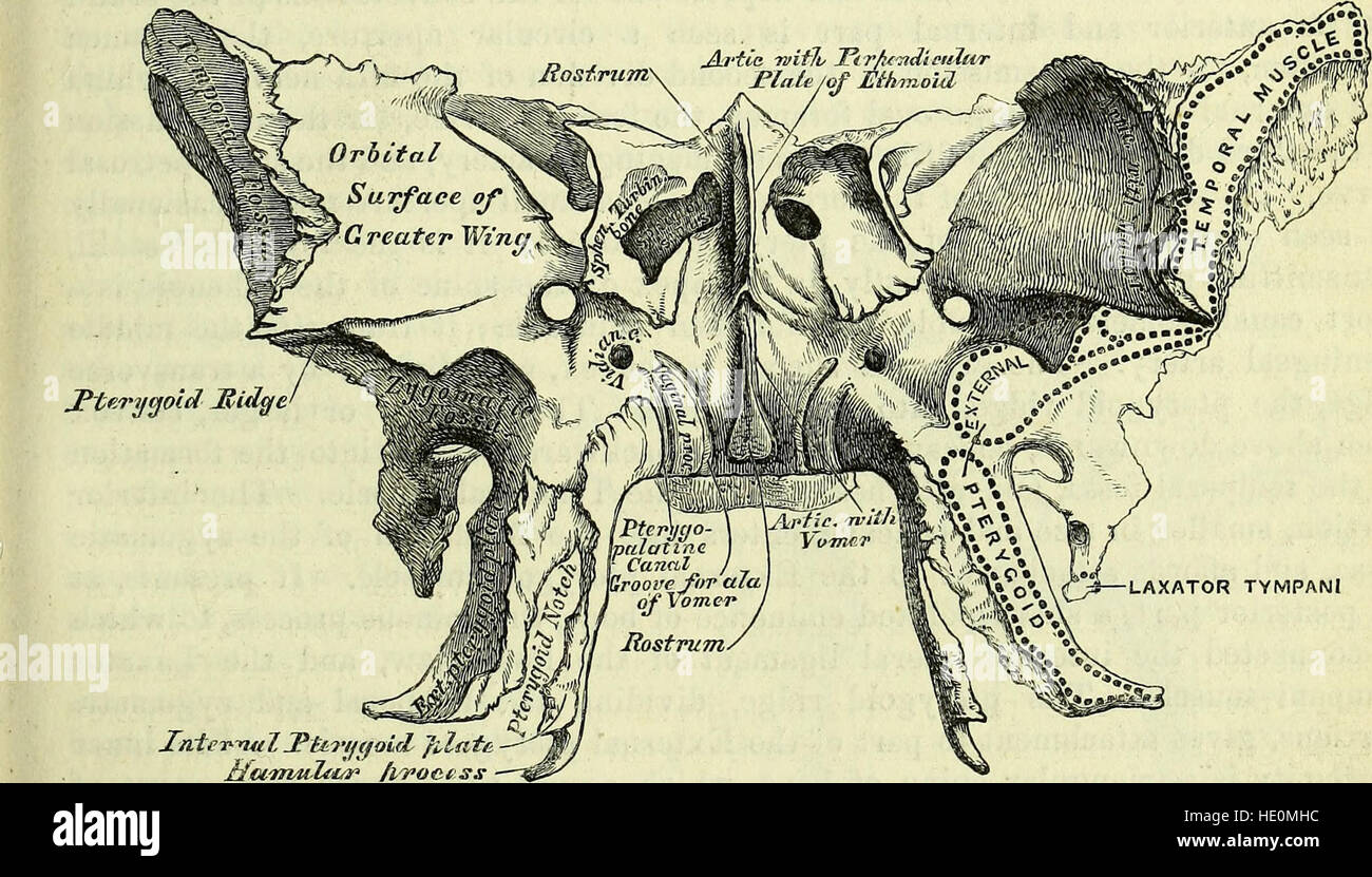 This 1860 electronic resource offers a comprehensive guide to human ...