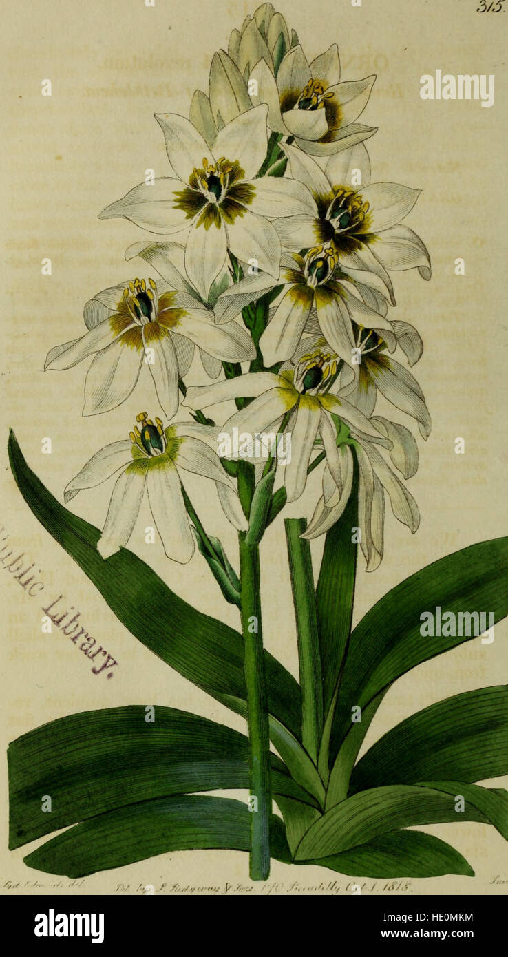 This 1815 publication features detailed, colored botanical ...