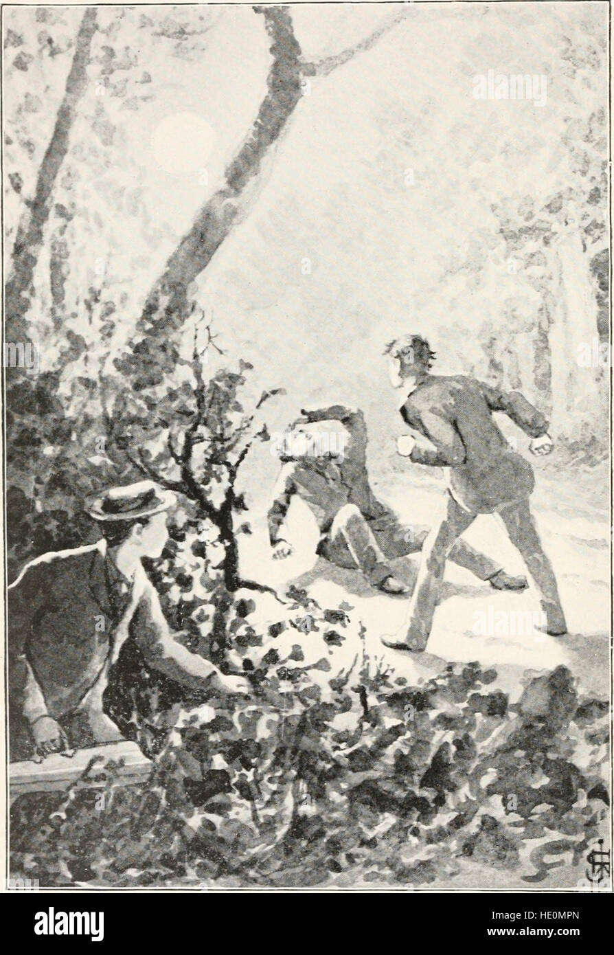 This 1896 book narrates the story of four boys involved in a forest ...