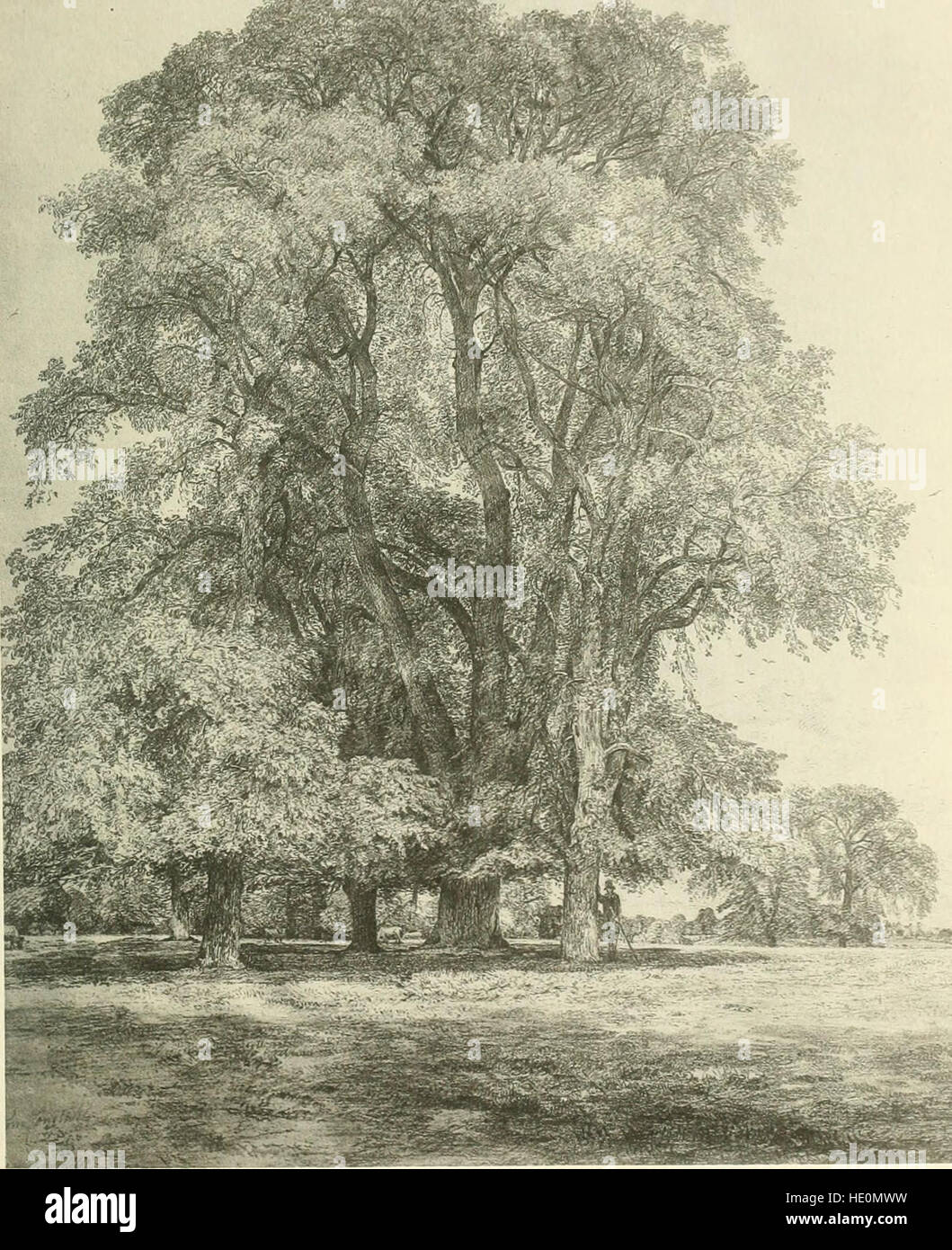 'Life and Letters of John Constable, R.A.' (1896) offers a biographical ...