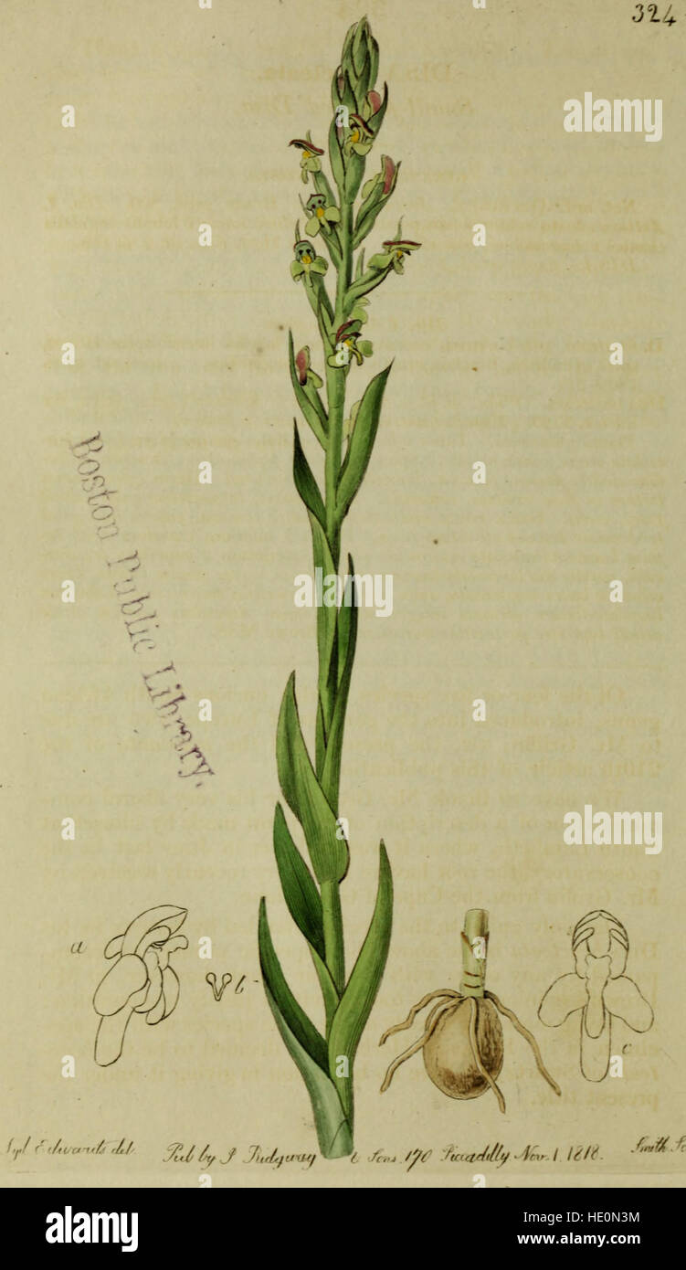 *The Botanical Register* (1815) is a botanical publication featuring ...