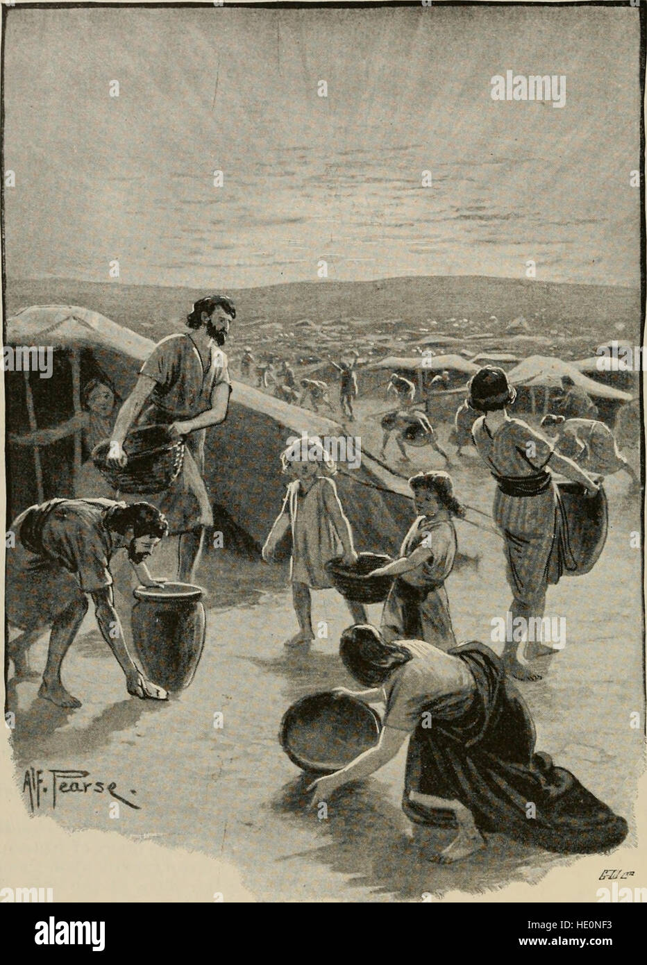 This 1896 'Art Bible' includes the Old and New Testaments with detailed ...