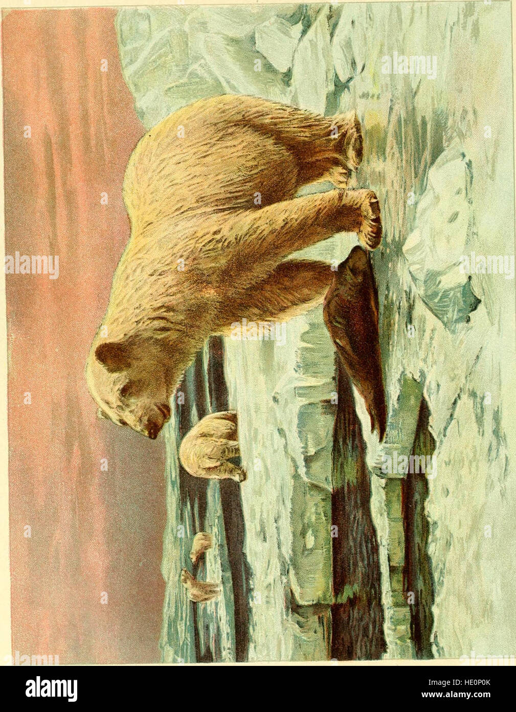 Hunting trapping stories book boys hi-res stock photography and images ...