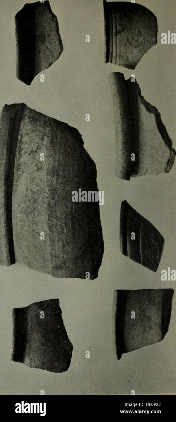 *Records by Spade and Terrier* (1918) is a collection of field reports ...