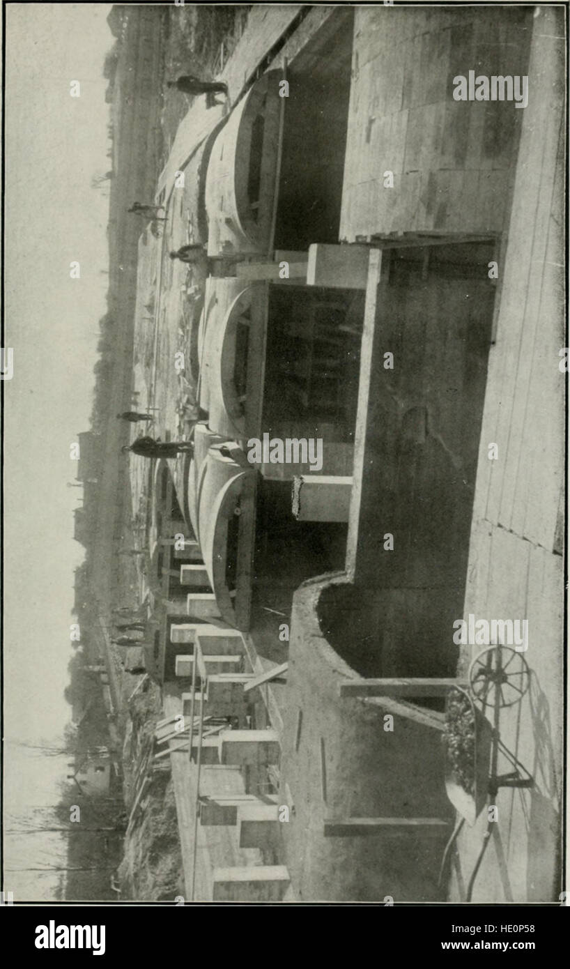 This 1907 report from the Ontario Department of Health covers the ...