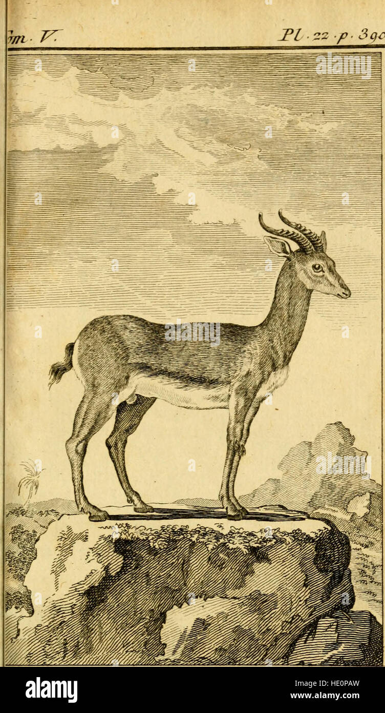 The complete works of Count Buffon, focusing on his study of quadruped ...