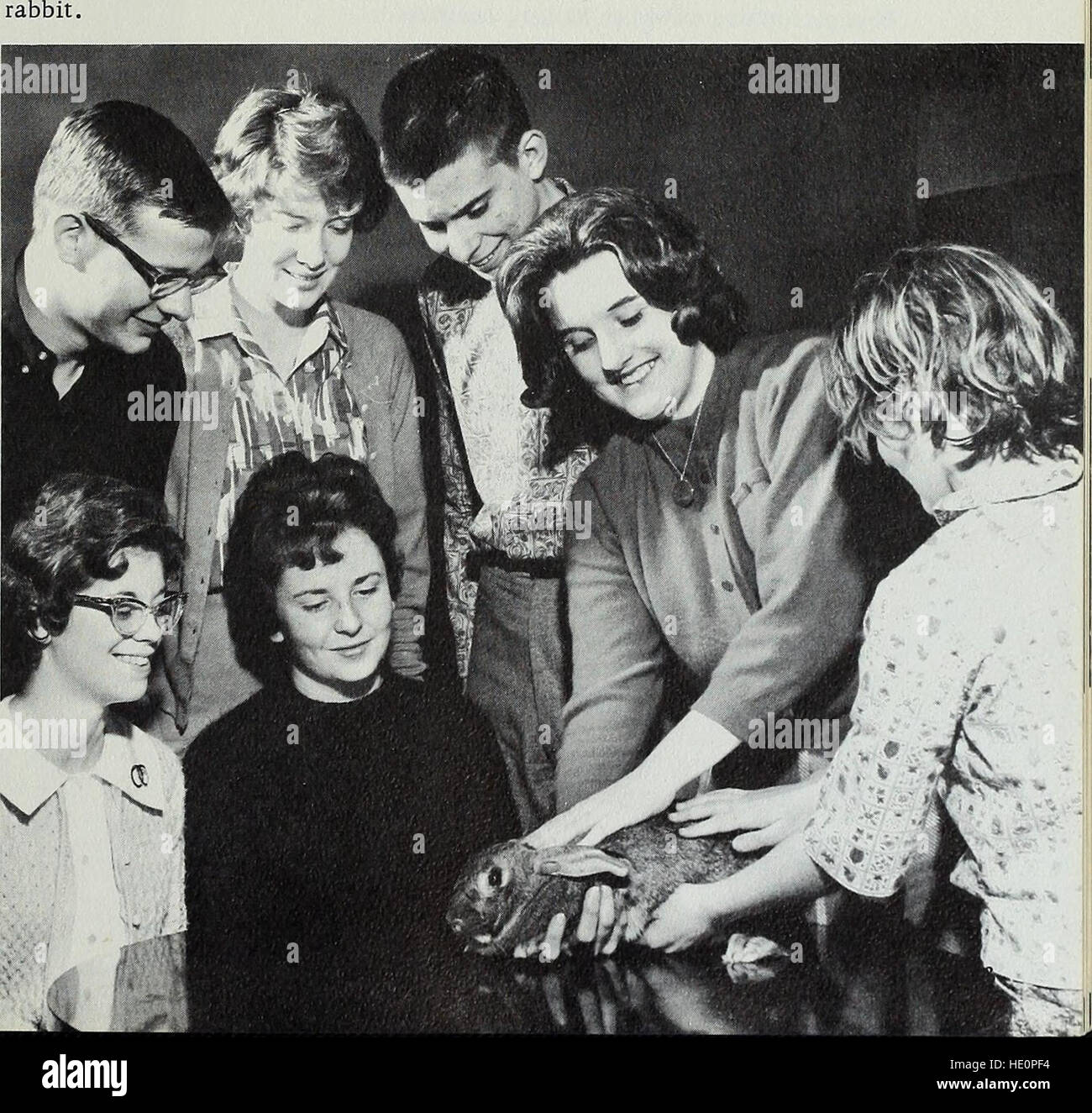 This 1963 work explores the author’s relationship with a fellow writer ...