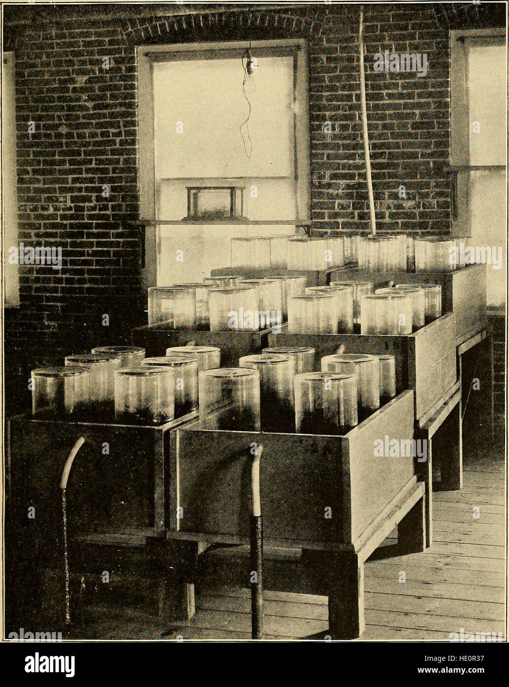 A manual of fish-culture, based on the methods of the United States ...