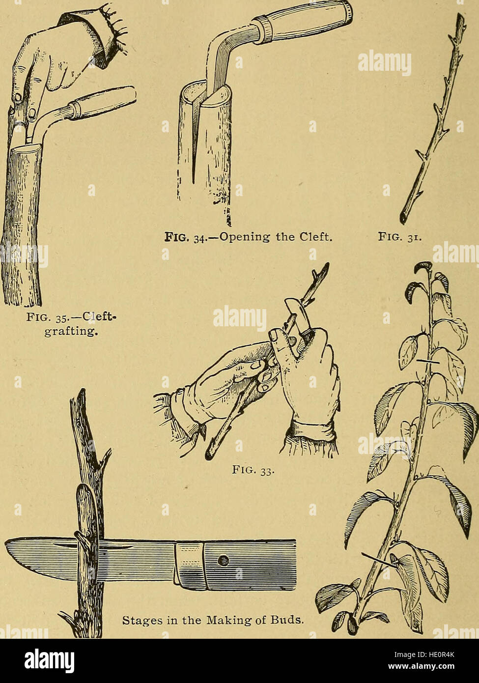 Culturist Stock Photos & Culturist Stock Images - Alamy