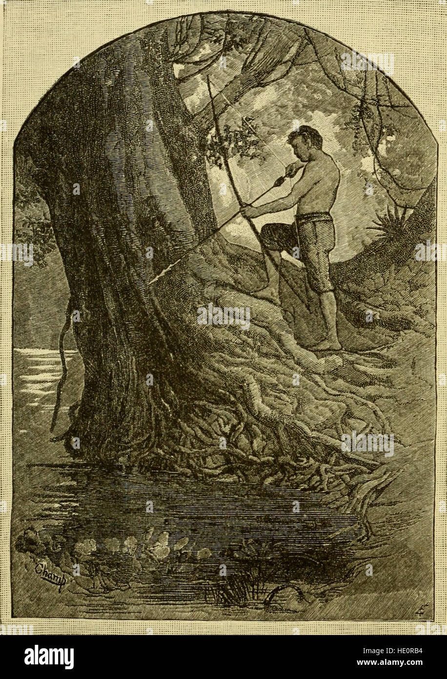 A 1879 exploration of Brazil, including the Amazon region and coastal ...