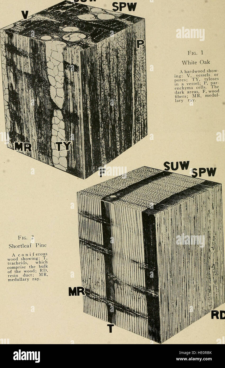 This 1921 guide offers practical instructions for constructing wooden ...