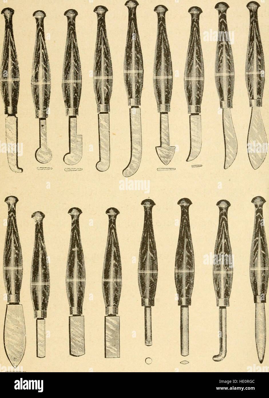 Modern plating hi-res stock photography and images - Alamy