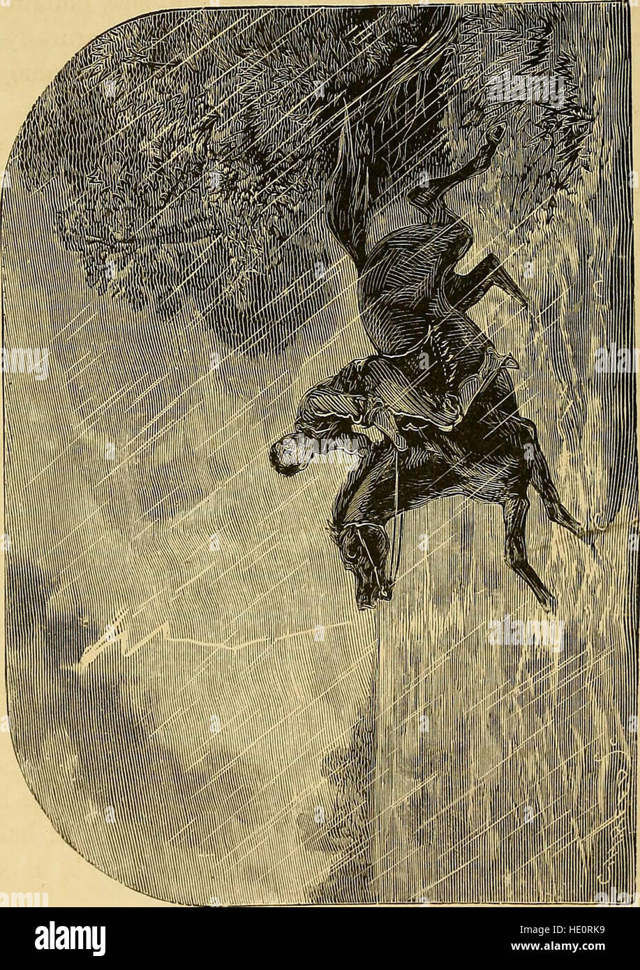 This historical account documents the harrowing experiences of enslaved ...