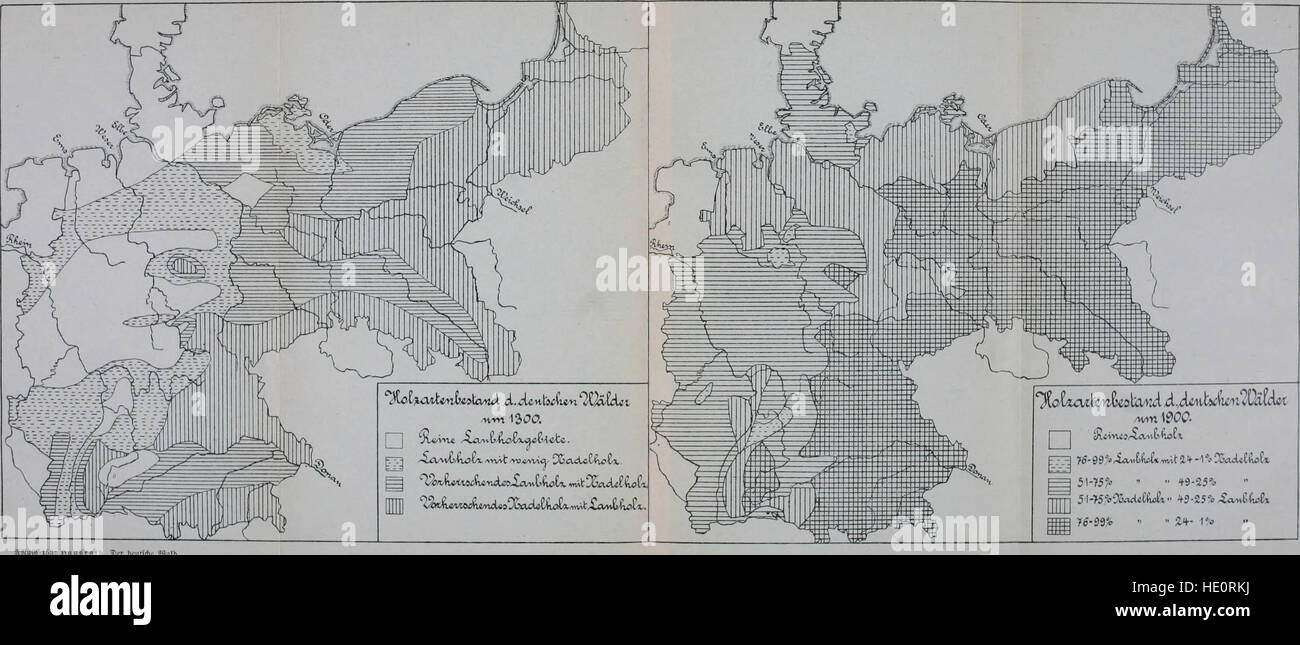 'Der Deutsche Wald' (The German Forest) is a 1907 German-language book ...