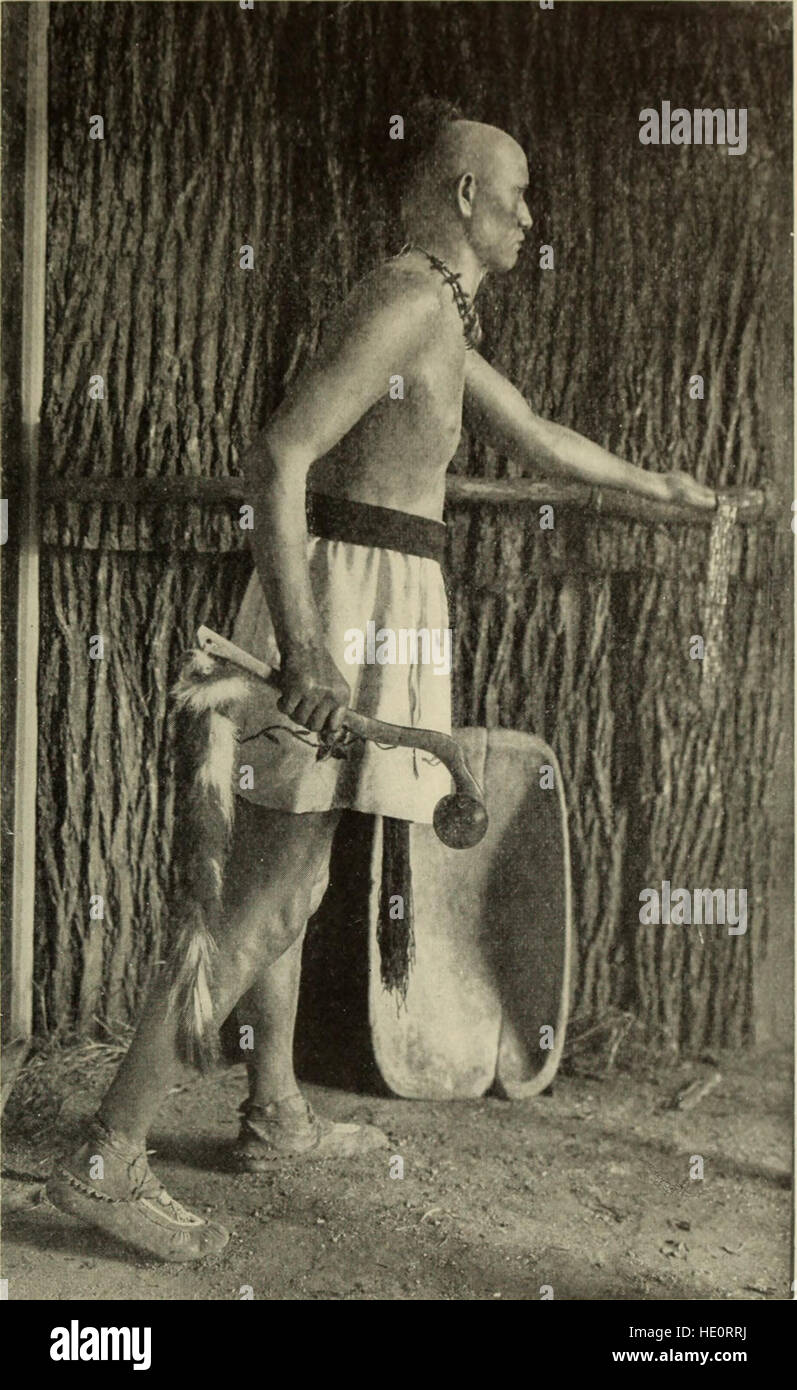 *General Guide to the Exhibition Halls of the American Museum of ...