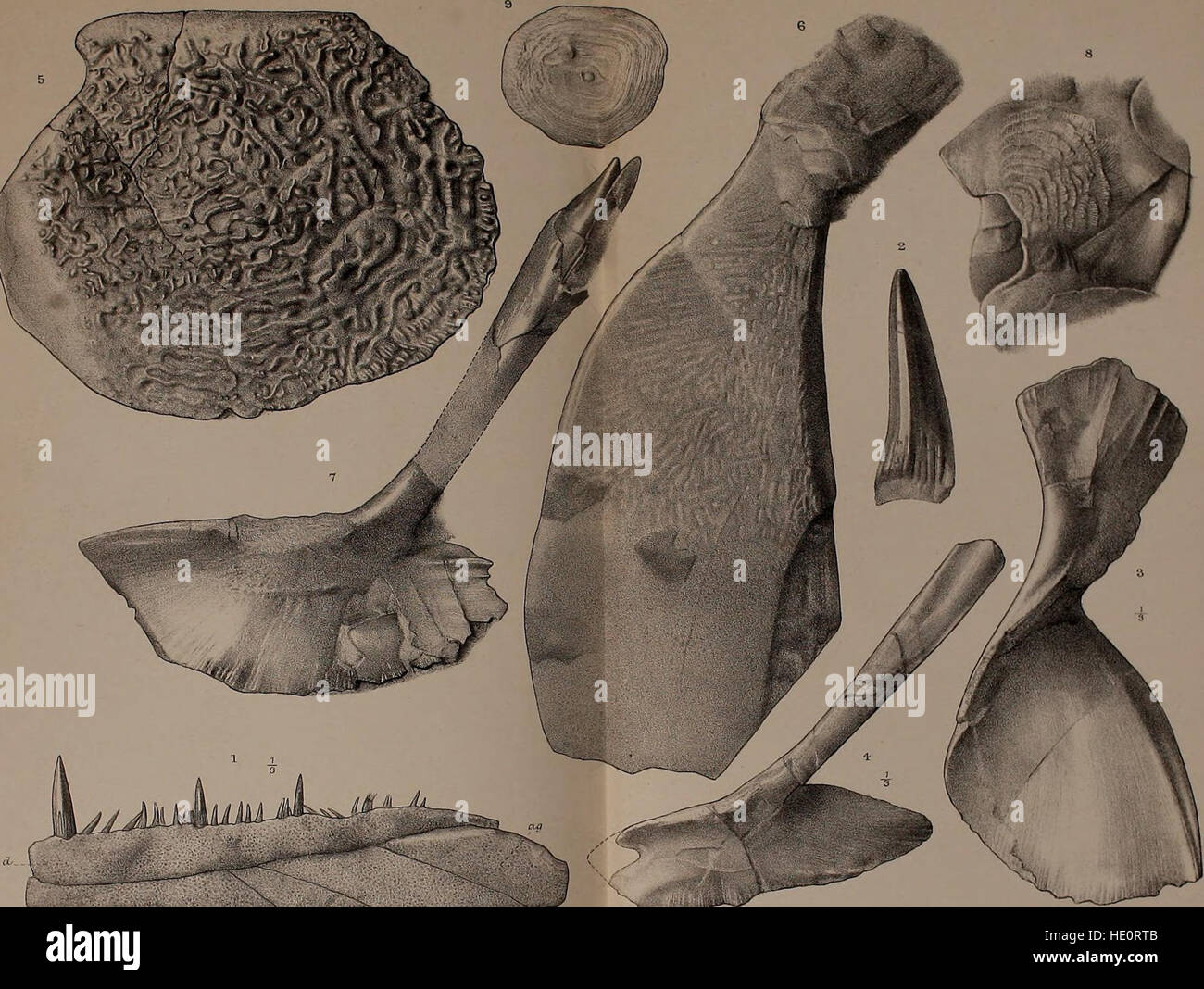 This catalogue, published in 1889, provides a detailed listing of ...