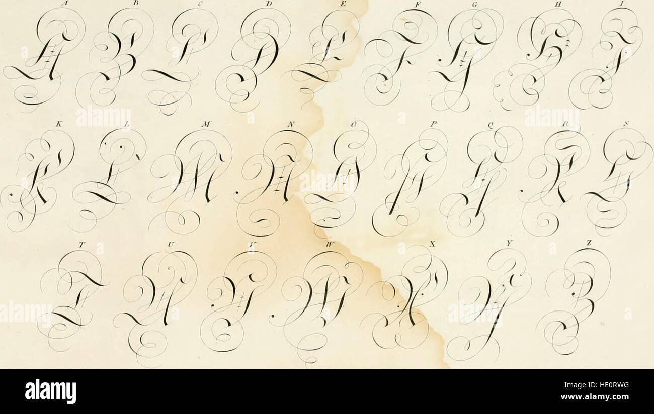 *Calligrafia tedesca* showcases German cursive writing, Kanzley script ...