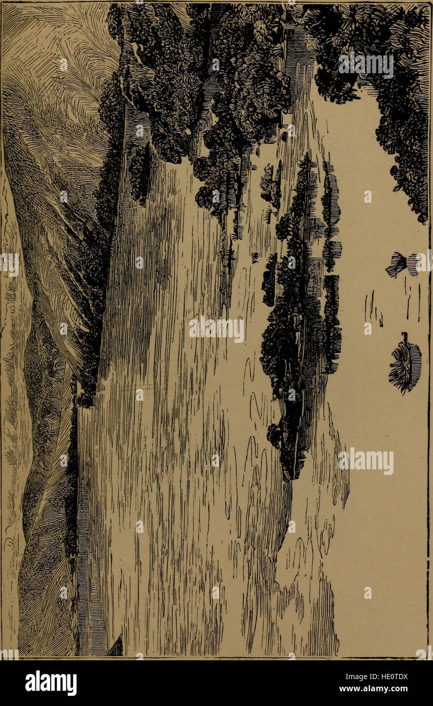 This 1895 study of the Congo River explores its natural environment and ...
