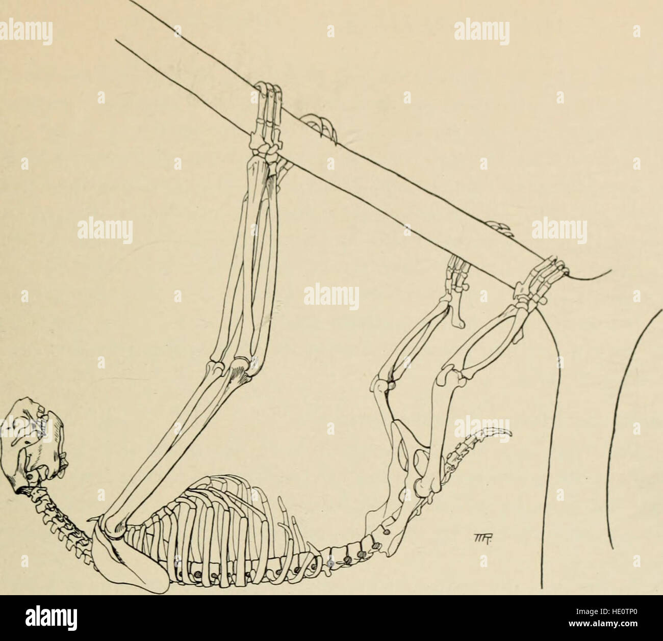 A *Guide Leaflet* (1901) is an informational pamphlet or brochure ...