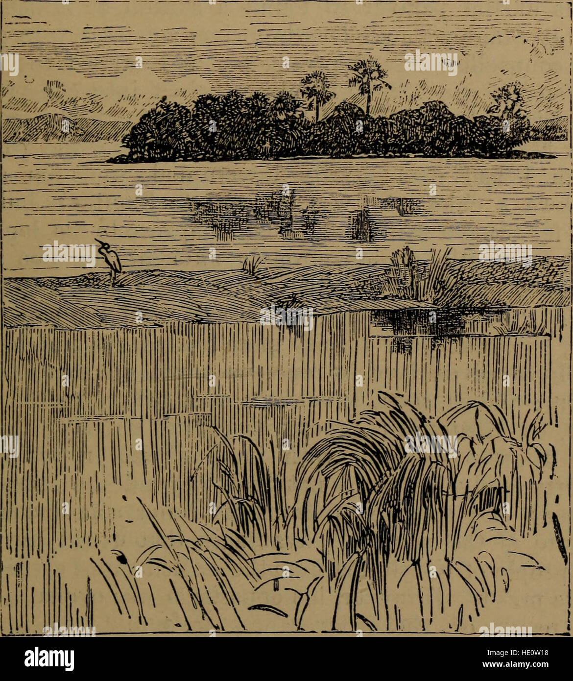 This 1895 work provides an extensive account of the Congo River, from ...